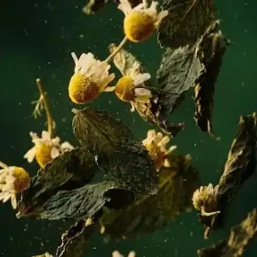 Egyptian Herbs and Spices Company - AR PURE